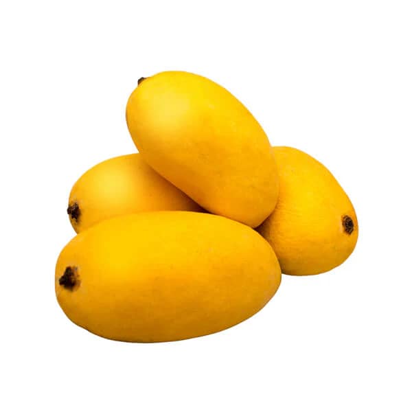 Chaunsa Mango - mangoholicae