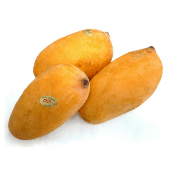 Sindhri Mango - mangoholicae